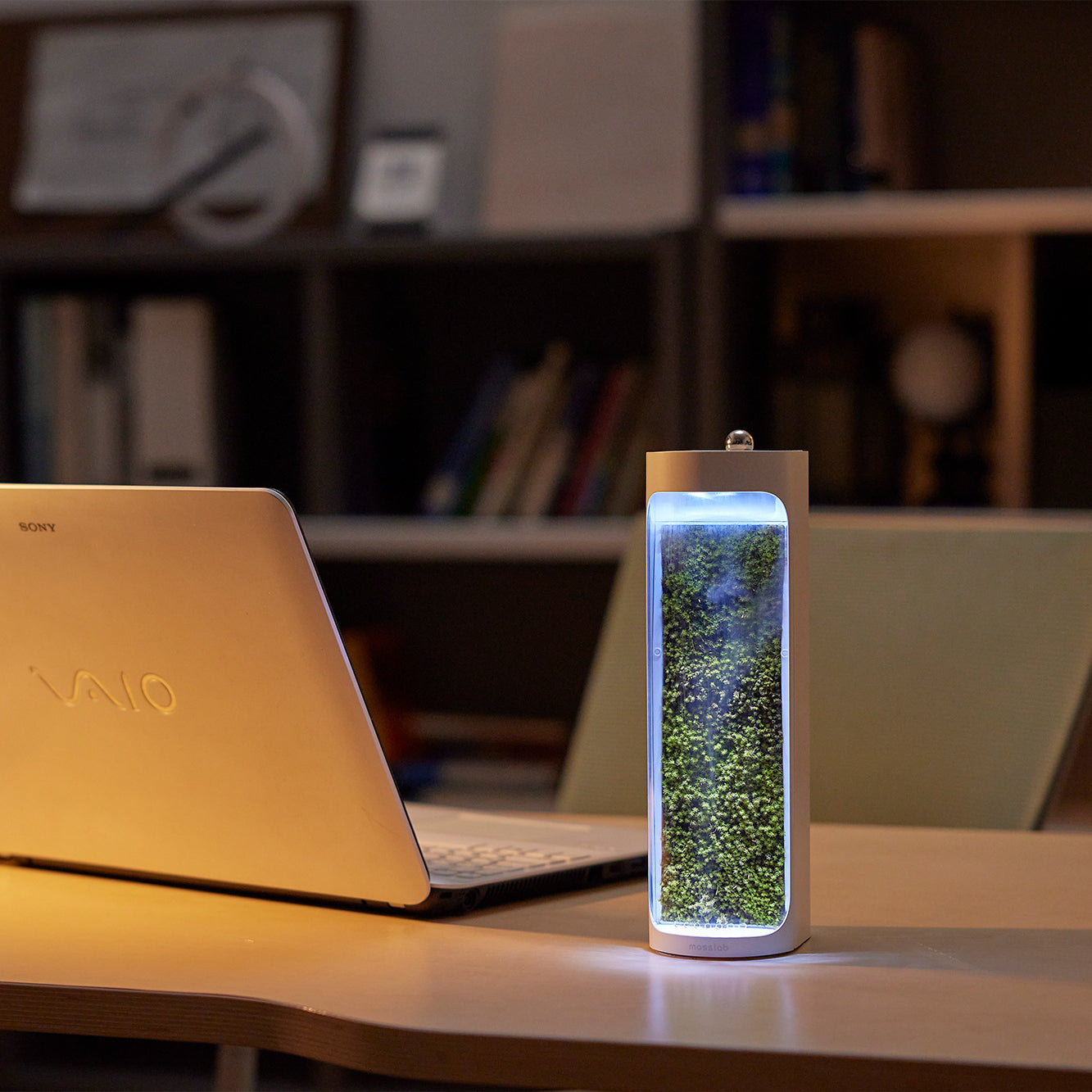 moss air – mosslab