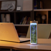 moss air – mosslab