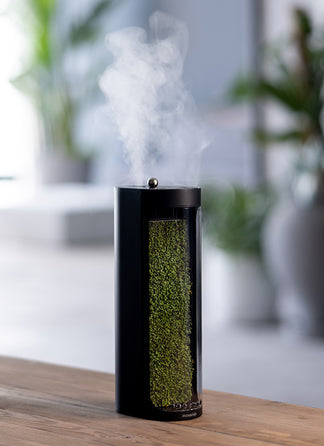 moss air – mosslab