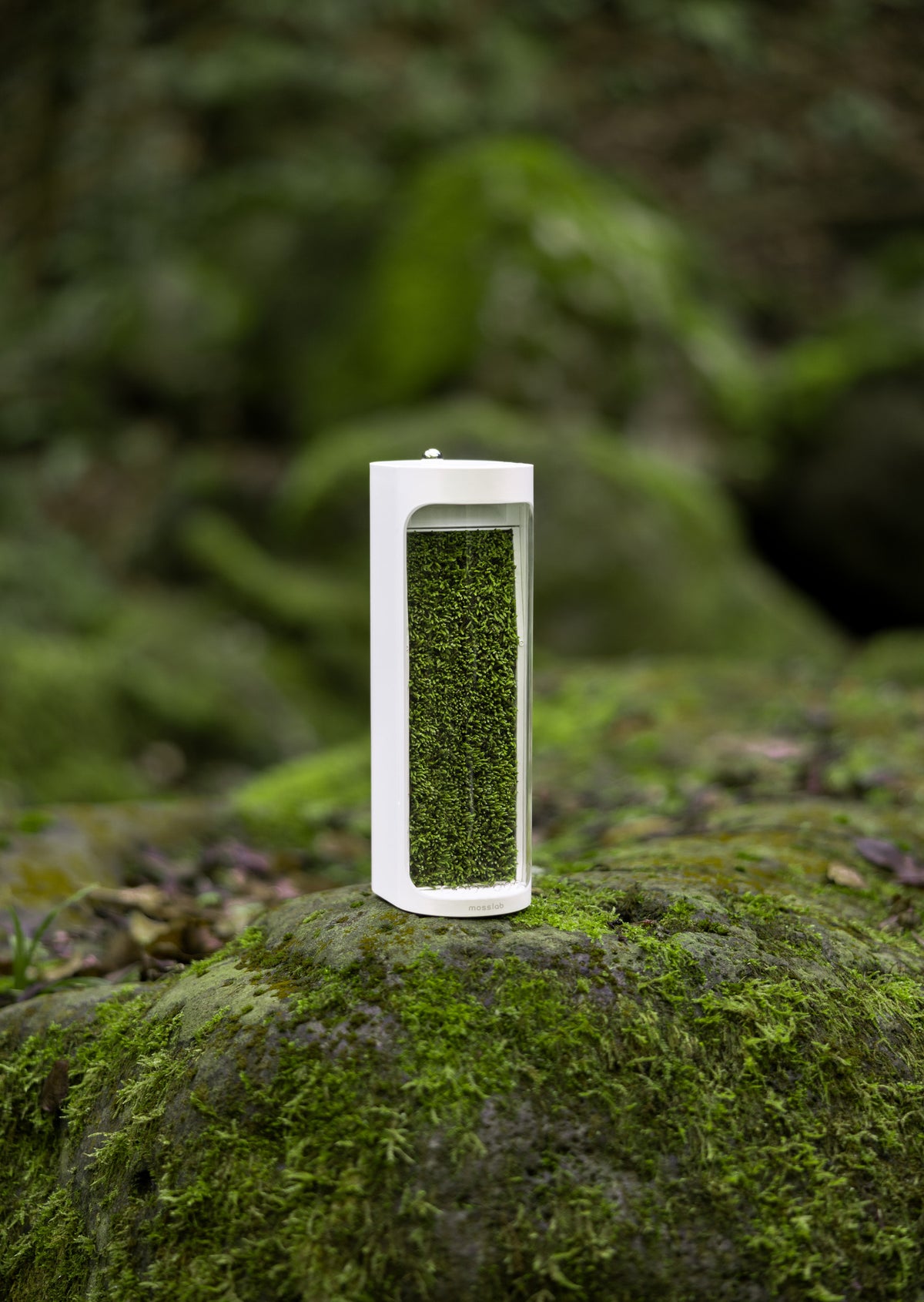 Moss Air, The Humidifier inspired by Nature