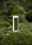 Moss Air, The Humidifier inspired by Nature