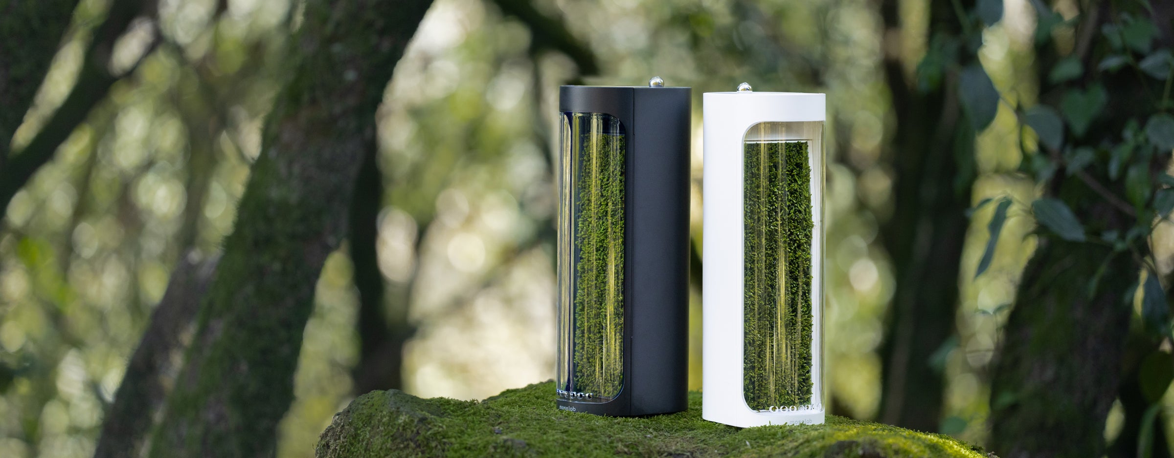 moss air – mosslab