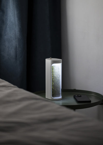 Moss Air, The Humidifier inspired by Nature