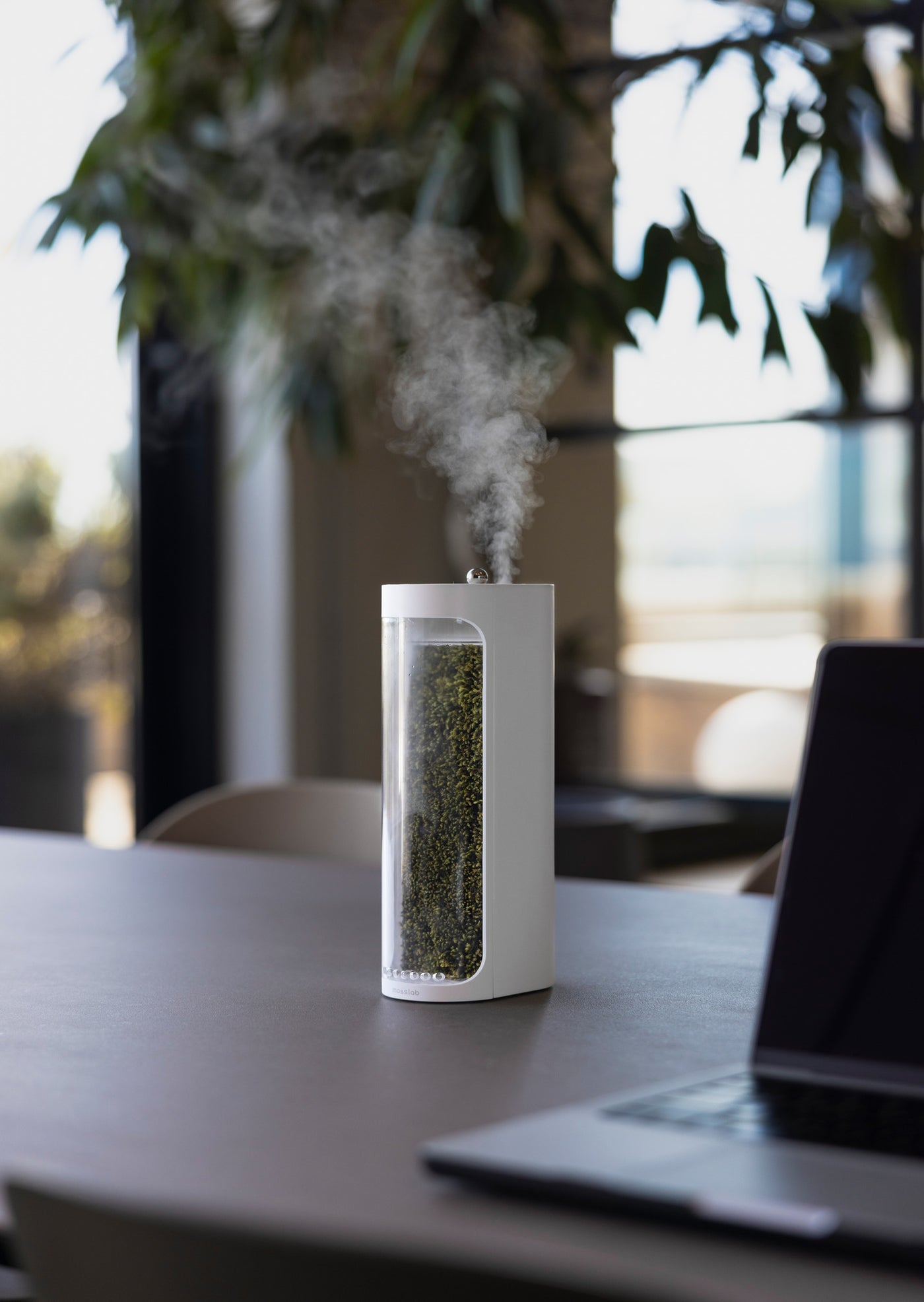 Moss Air, The Humidifier inspired by Nature