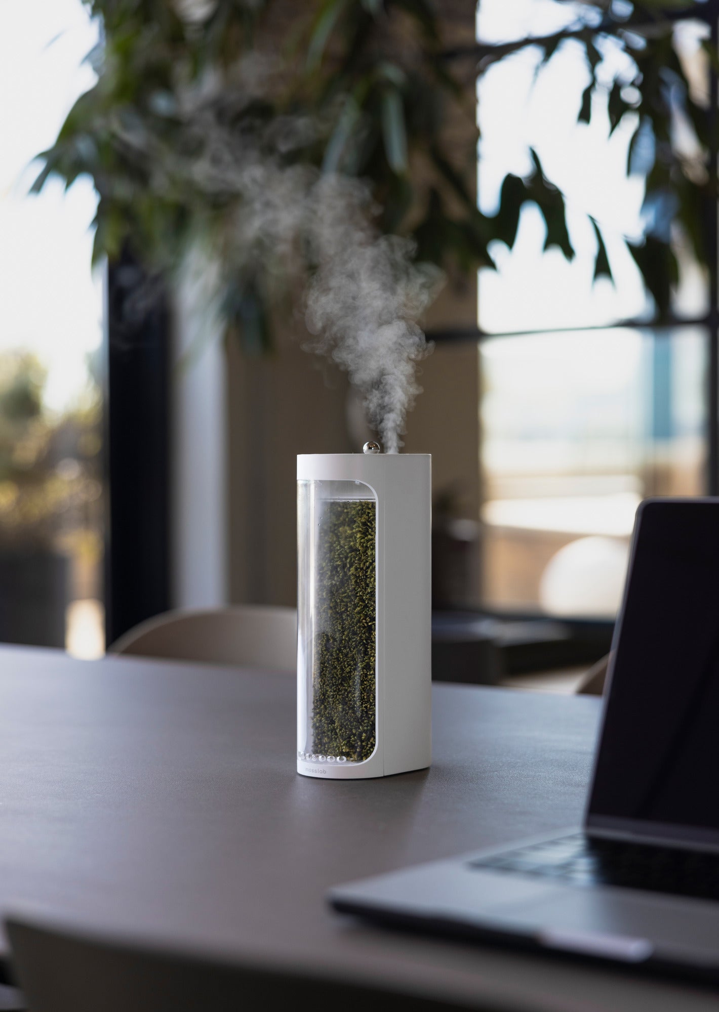 Moss Air, The Humidifier inspired by Nature