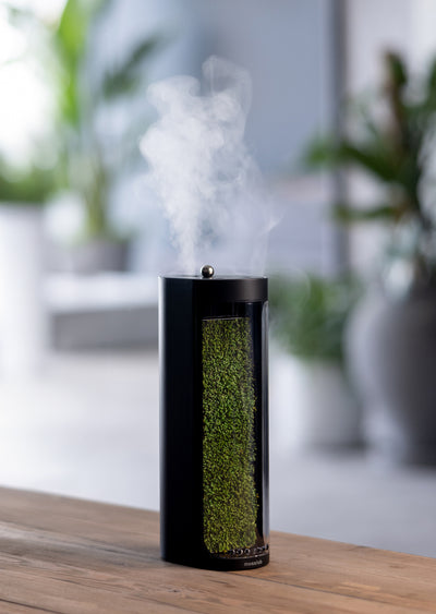 Moss Air, The Humidifier inspired by Nature