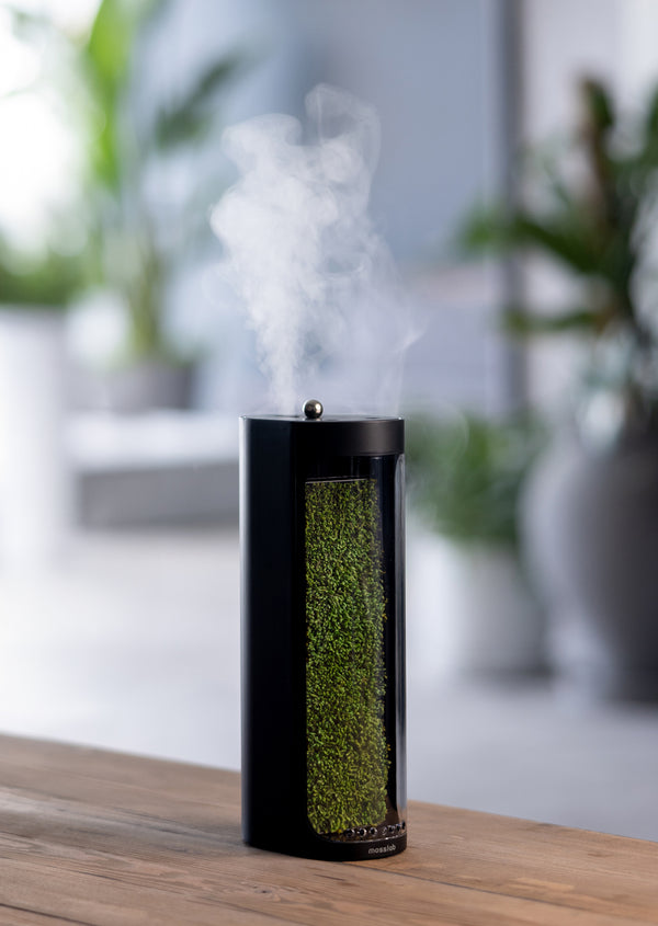 Moss Air, The Humidifier inspired by Nature
