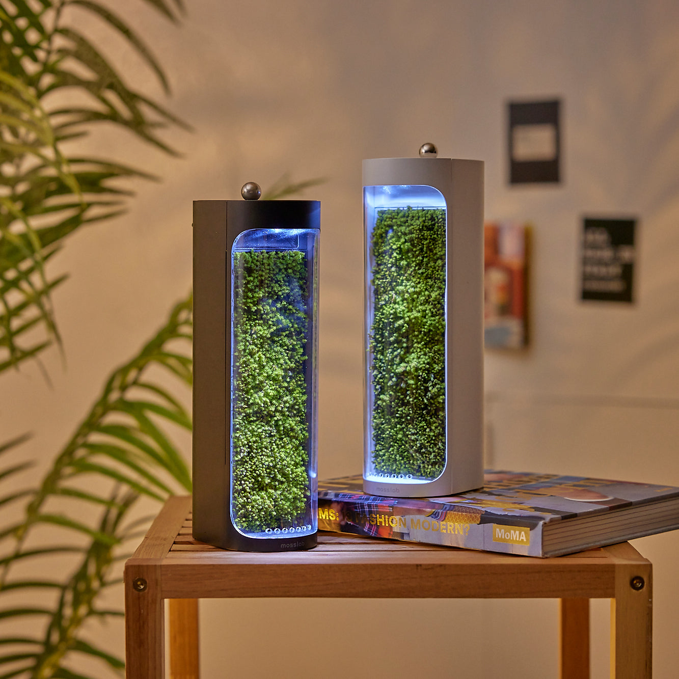 moss air – mosslab
