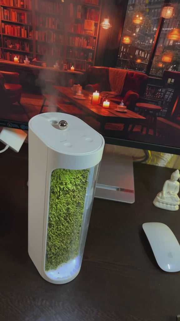 moss air – mosslab