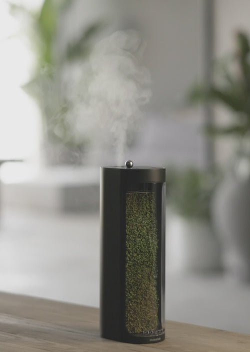 Moss Air Bundle – Includes Moss Filter, Cotton Filter Set, and Magneti