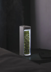 Moss Air, The Humidifier inspired by Nature