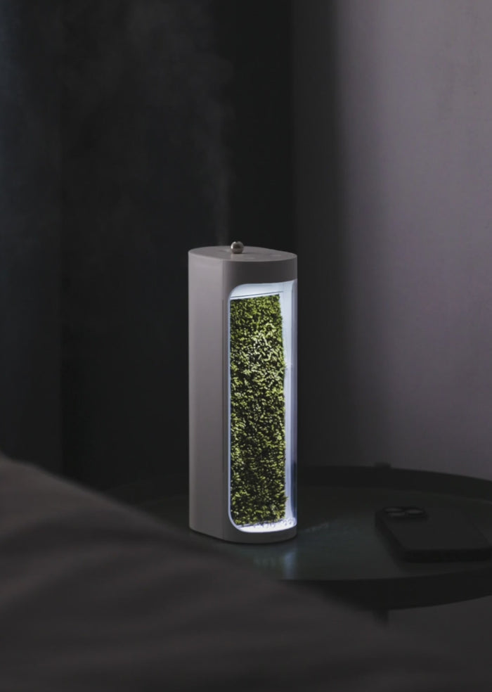 Moss Air, The Humidifier inspired by Nature