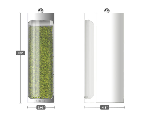 The Mosslab Moss Filter: Breathe Nature's Purity in Your Home